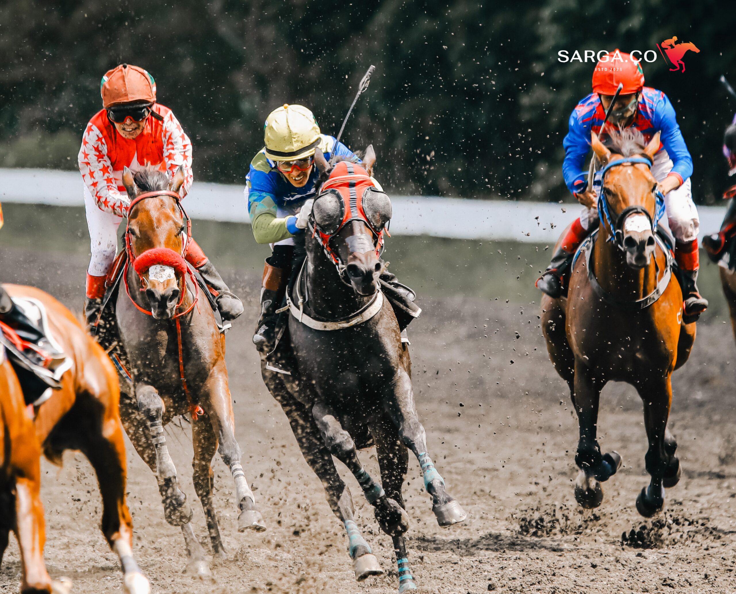 BEAUTY GENERATION - SARGA.CO