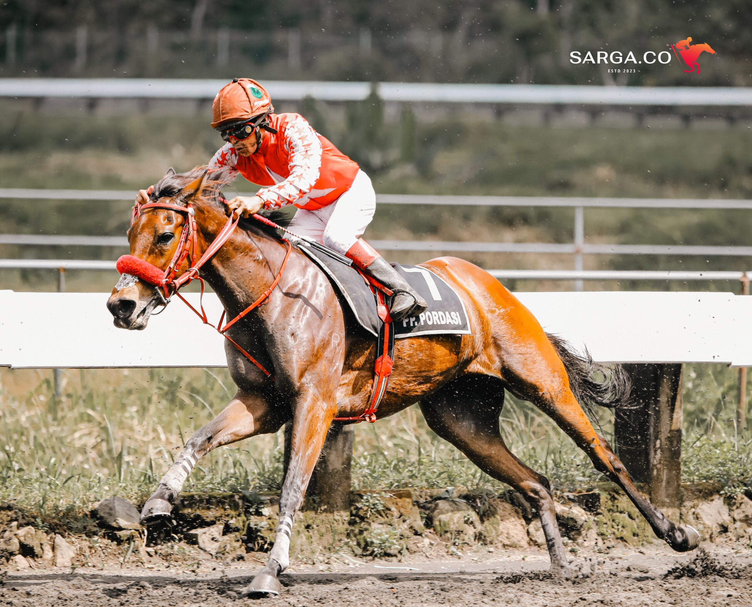 BEAUTY GENERATION - SARGA.CO