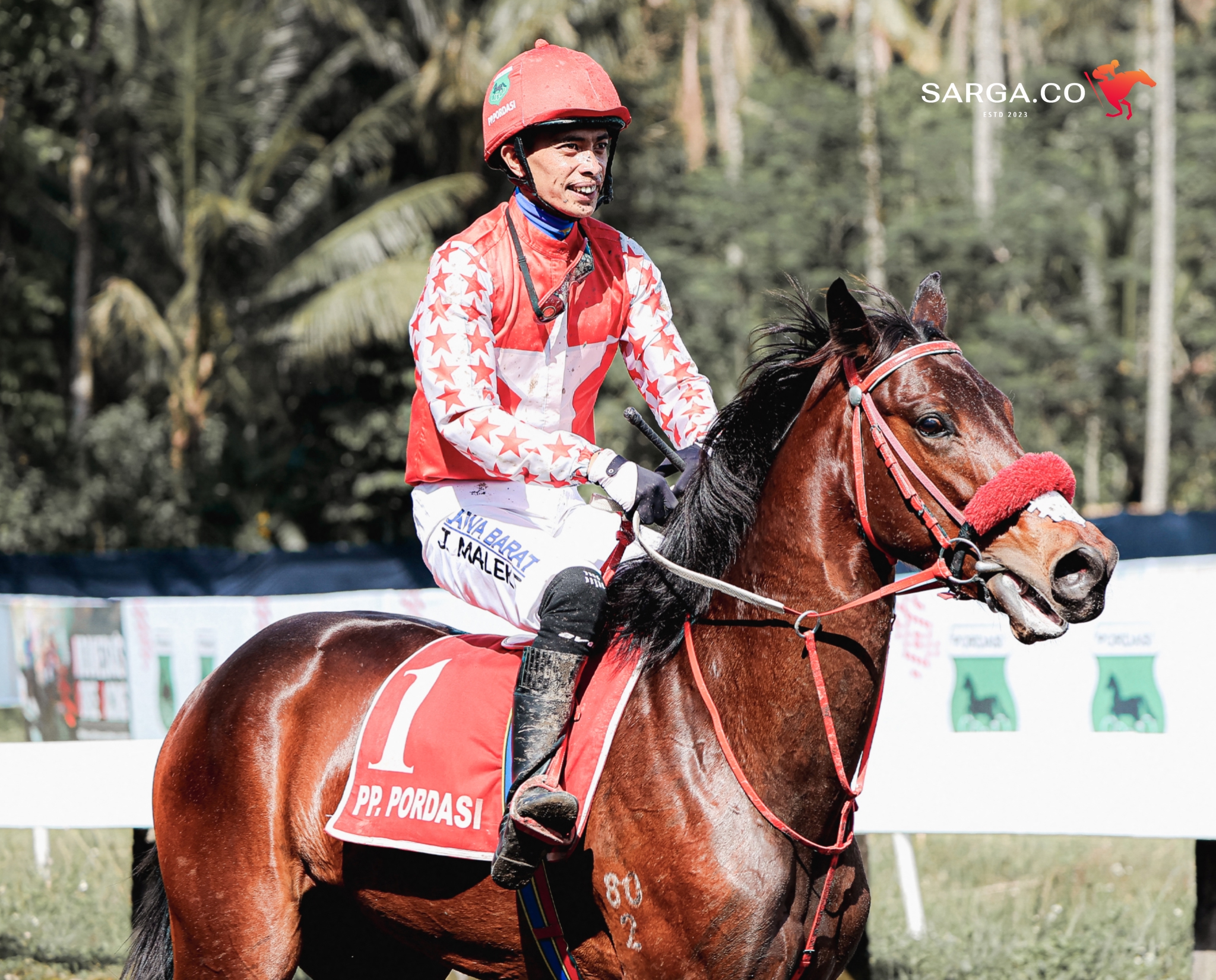 FOX RANGER - SARGA.CO