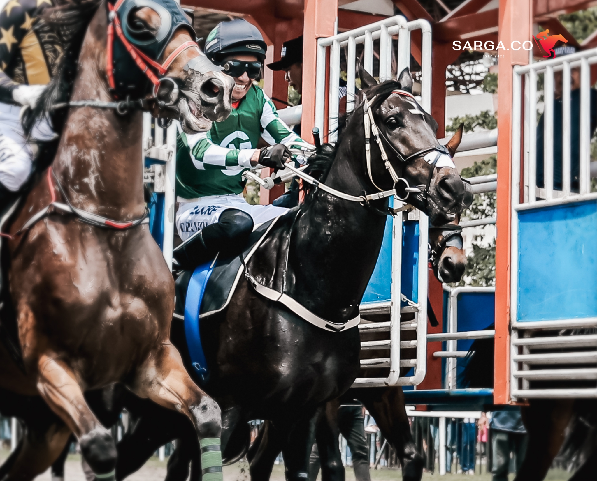 KING NAGURA - SARGA.CO