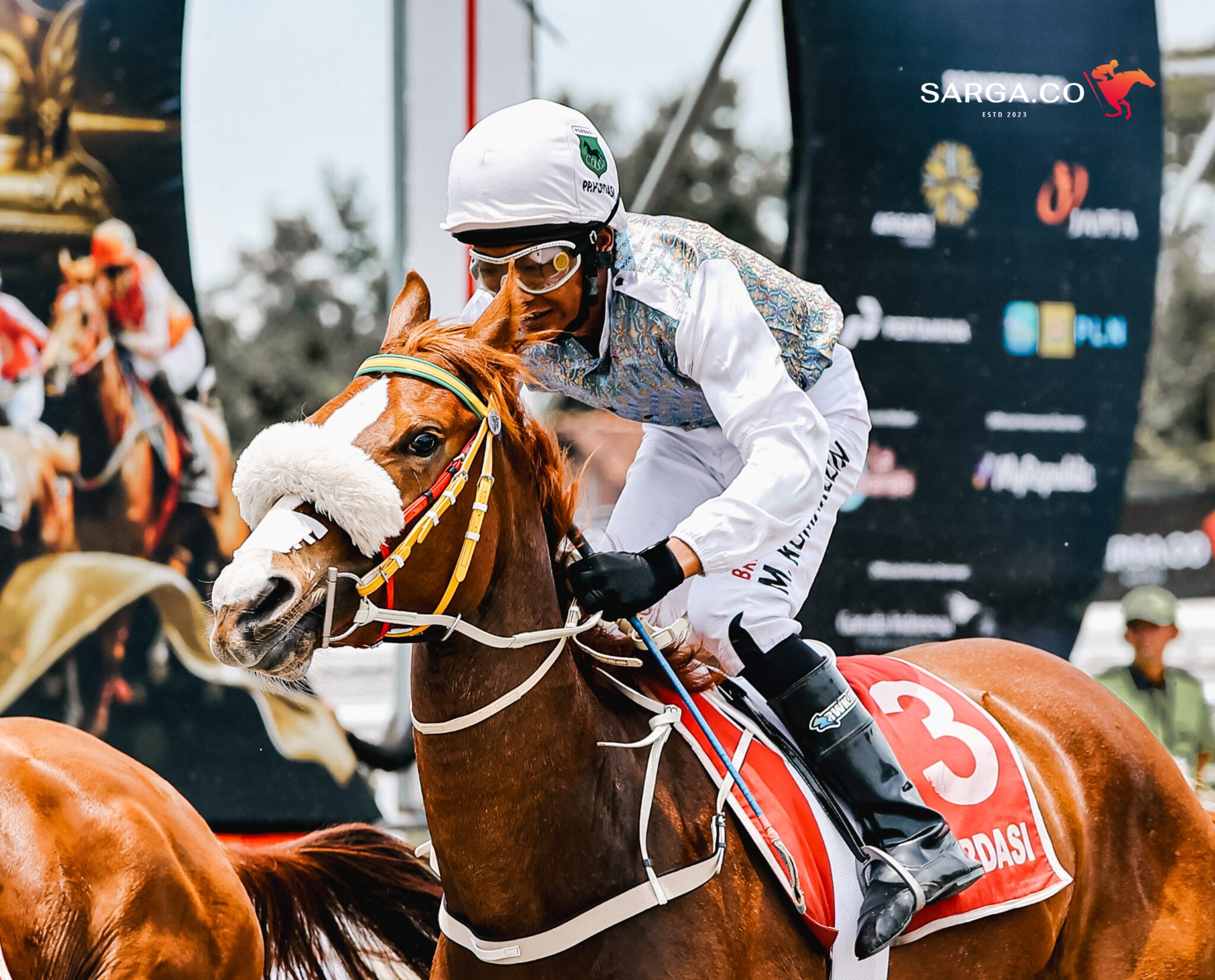 LUNA NOVA - SARGA.CO