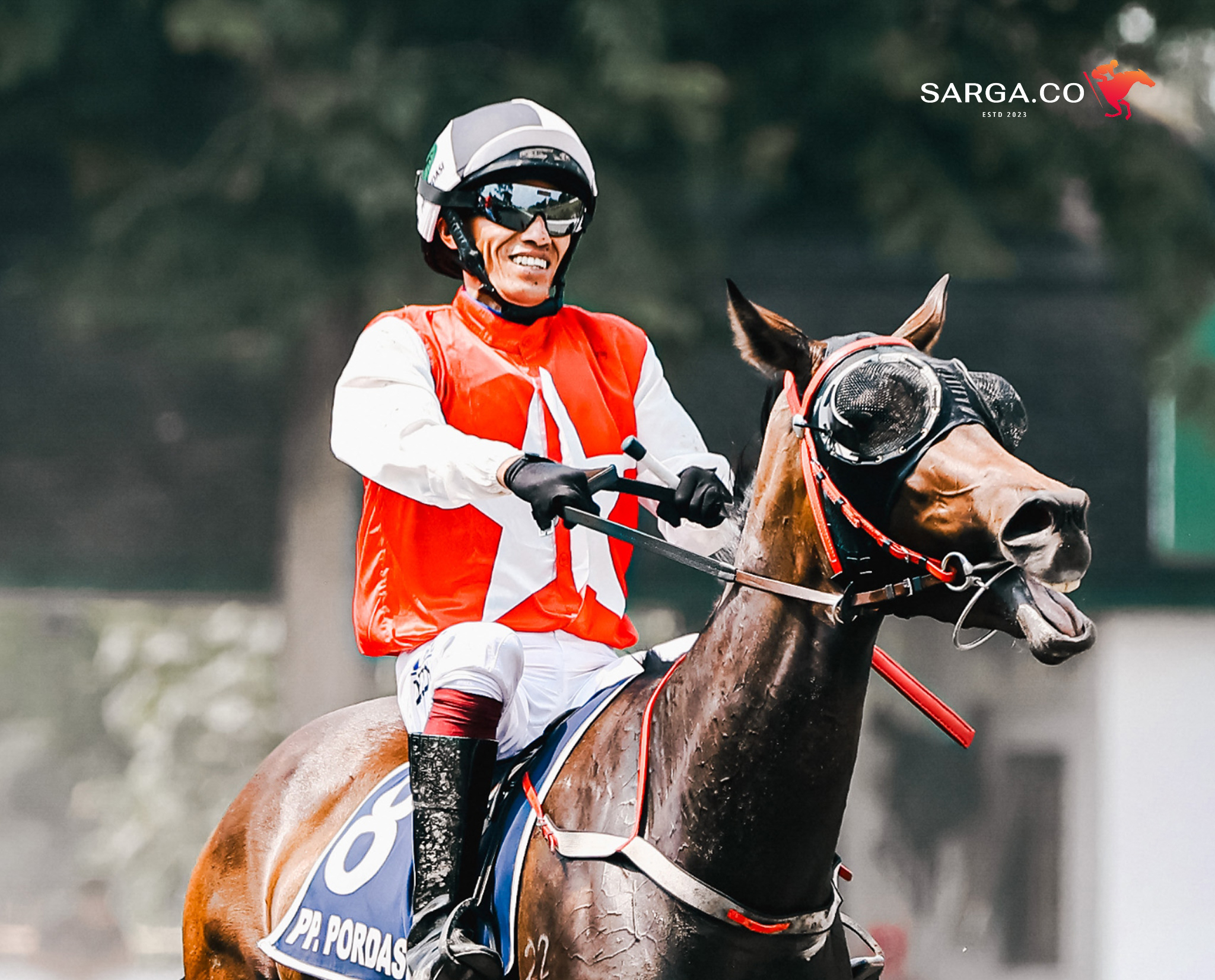 SURYA DANASTRY - SARGA.CO